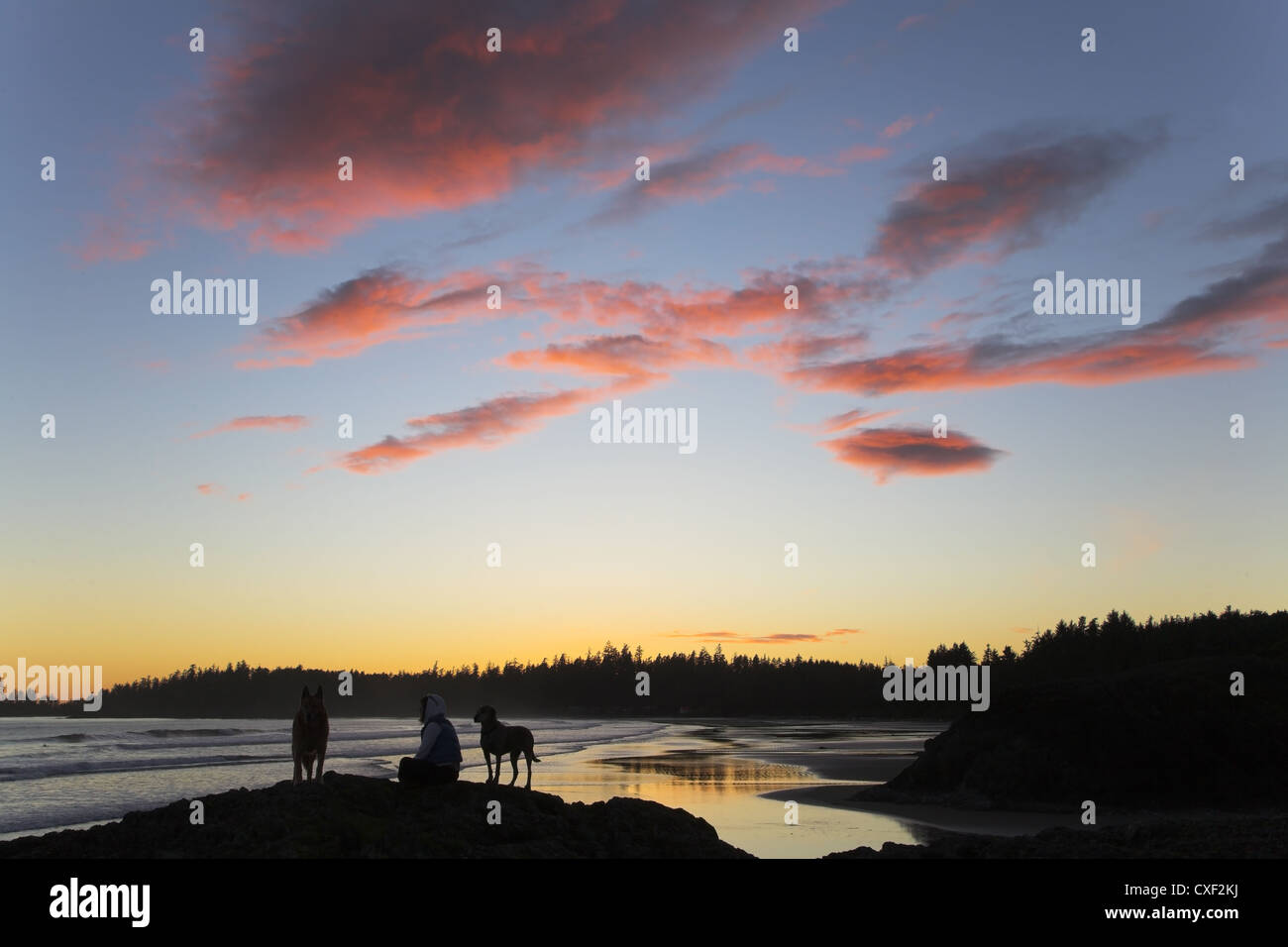 Terrain walk hi-res stock photography and images - Alamy