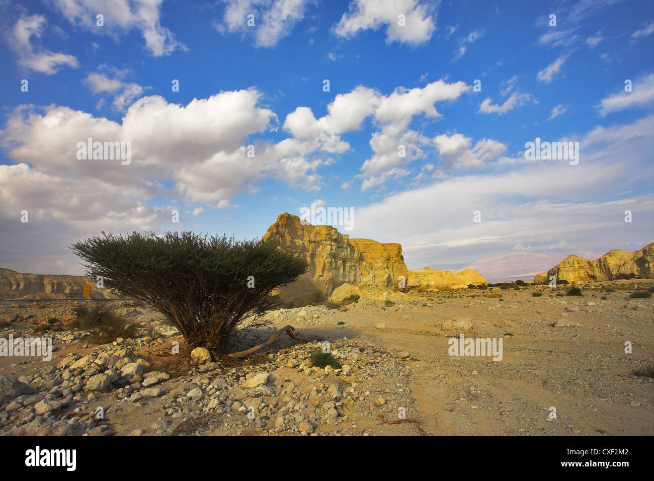 Desert stone hi-res stock photography and images - Alamy