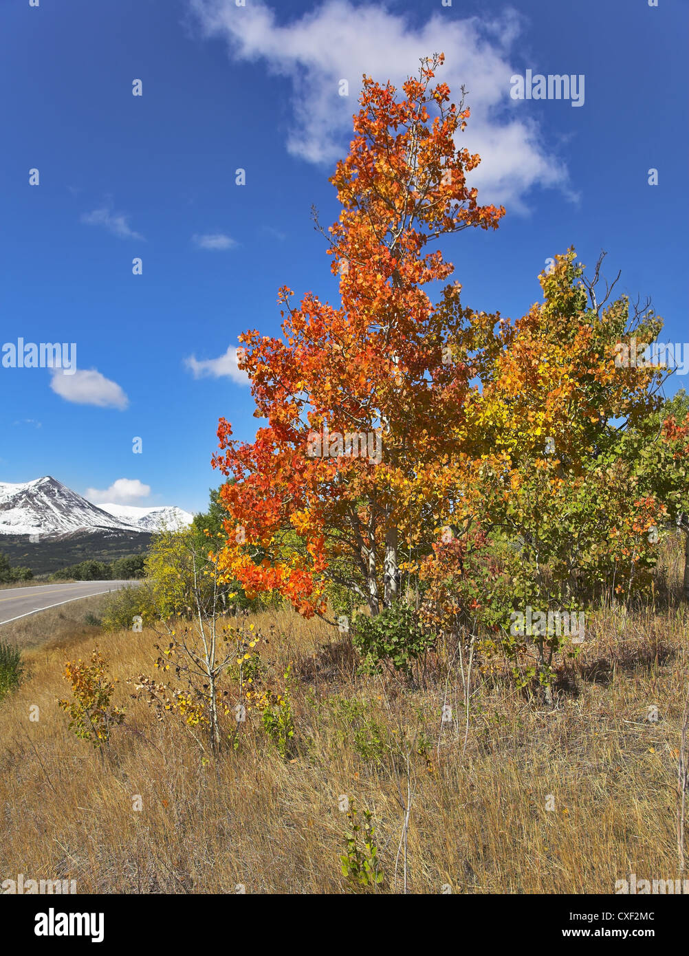 Non colour hi-res stock photography and images - Alamy