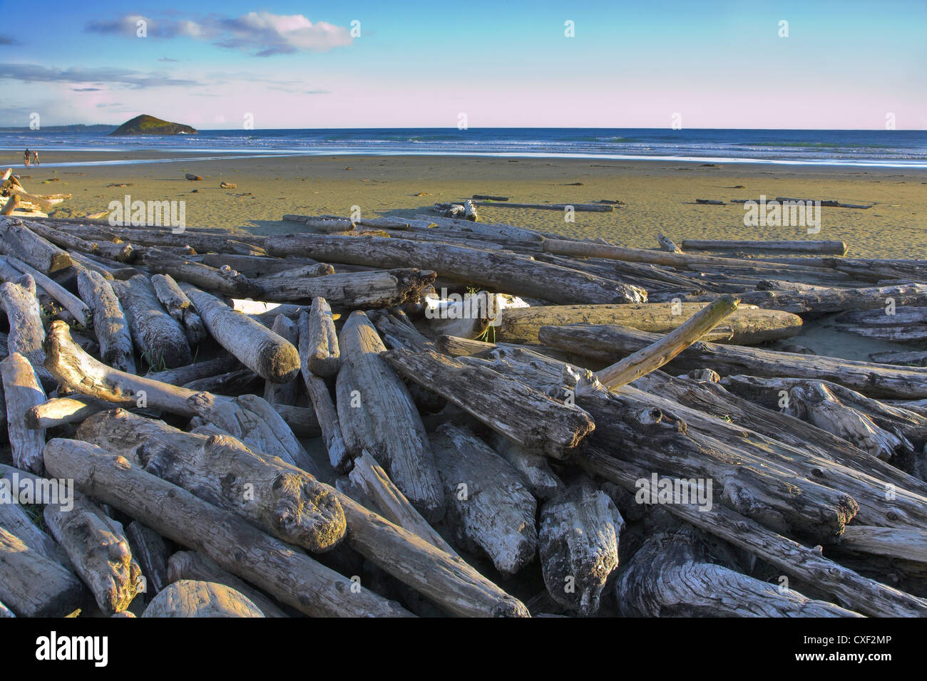 Sea logs hi-res stock photography and images - Alamy