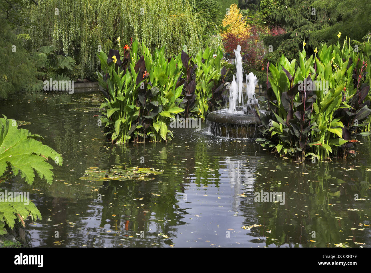 Fountain in a pond Stock Photo - Alamy