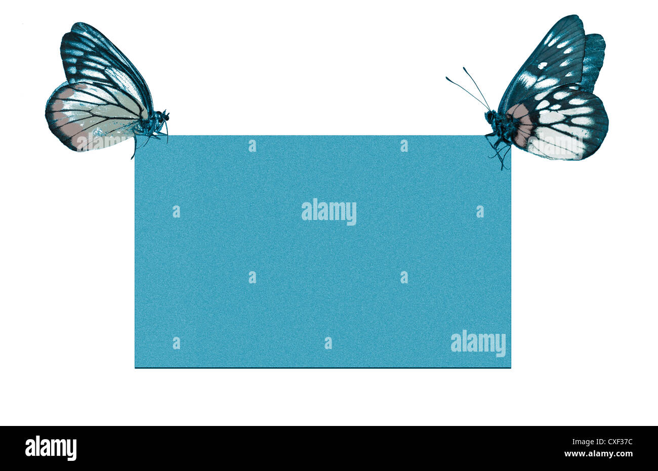 Butterfly poster design hi-res stock photography and images - Alamy