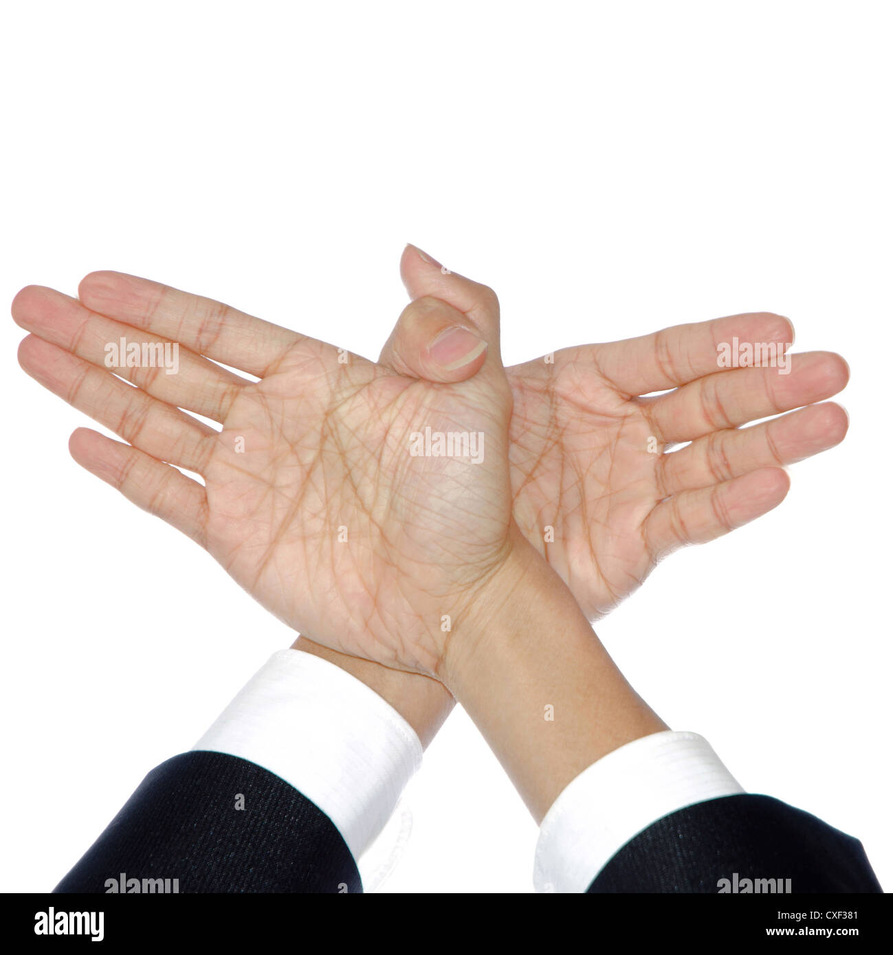 Isolated dove icon hi-res stock photography and images - Alamy