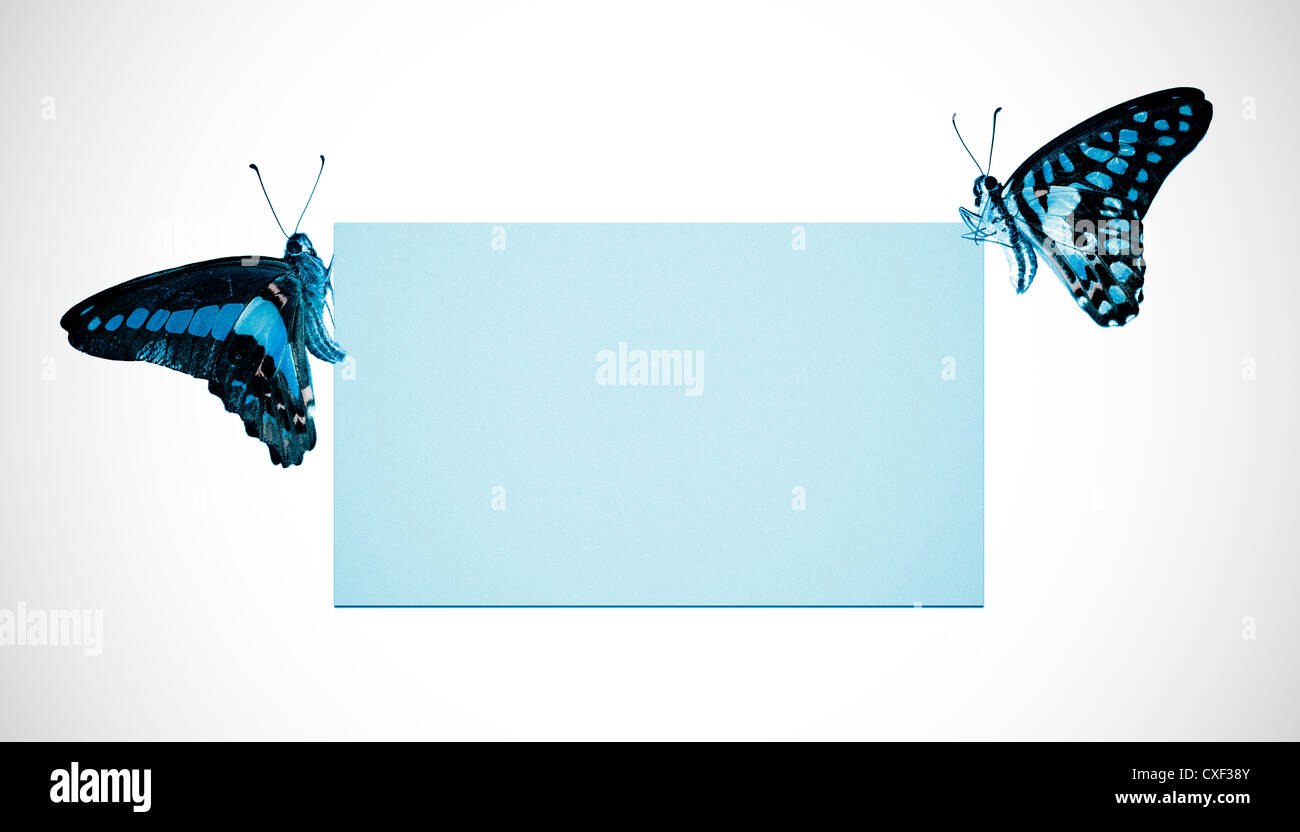 Butterfly poster design hi-res stock photography and images - Alamy