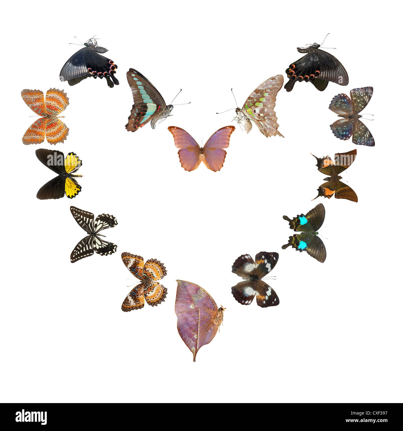 Round summer frame bright Cut Out Stock Images & Pictures - Alamy