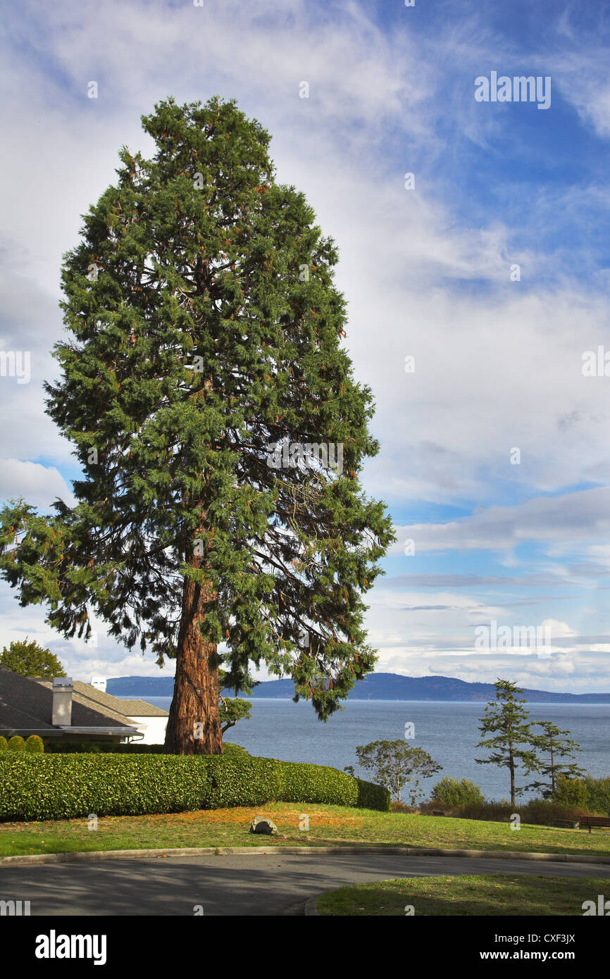 Coast of strait Stock Photo - Alamy
