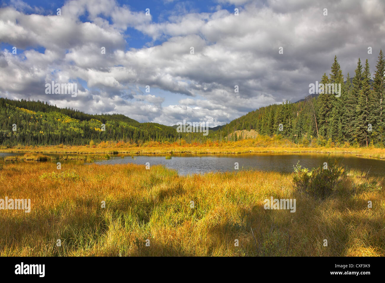 Charming small lake Stock Photo - Alamy