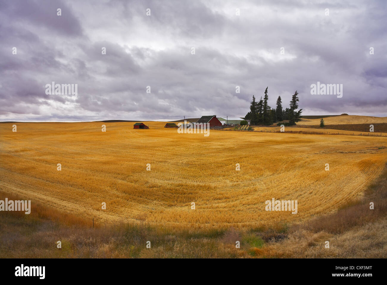 The farm in fields of Montana Stock Photo - Alamy