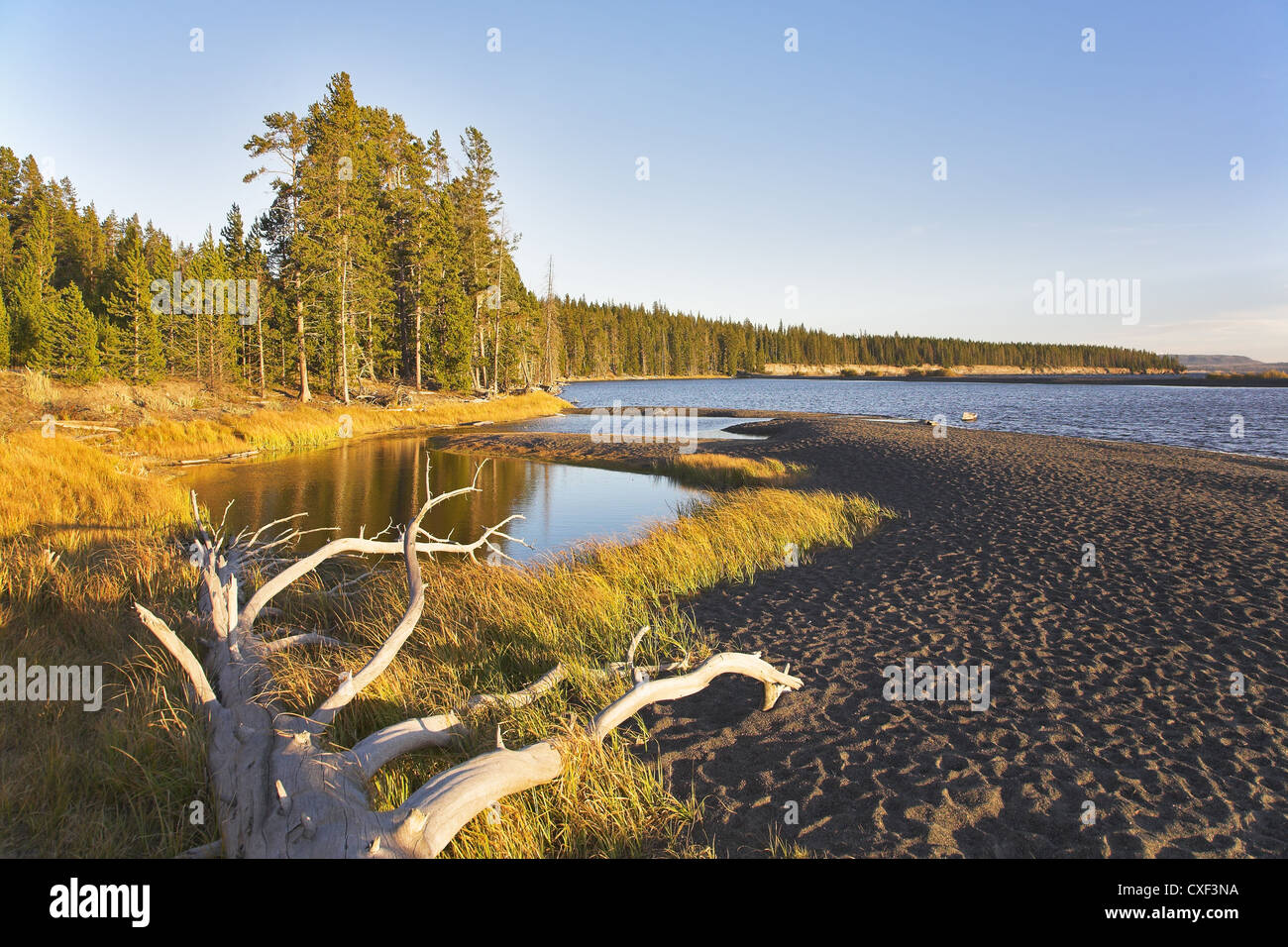 Marshy Terrain High Resolution Stock Photography and Images - Alamy