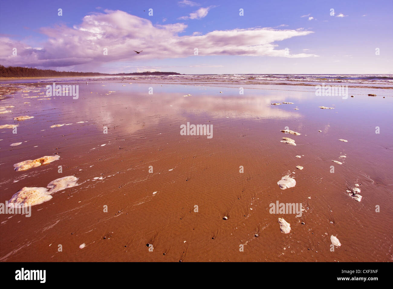 Coast Pacific ocean during outflow Stock Photo - Alamy Coast Pacific ocean during outflow Stock Photo - Alamy