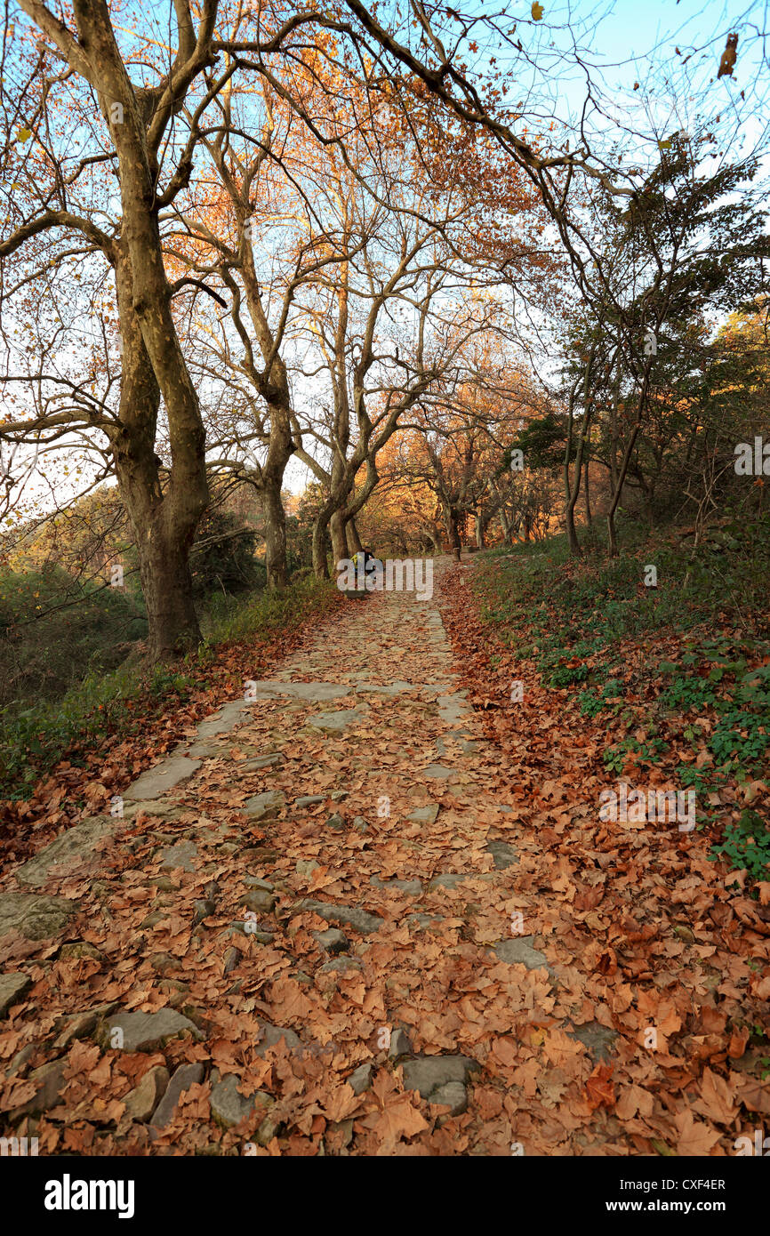 autumn mountain path Stock Photo - Alamy