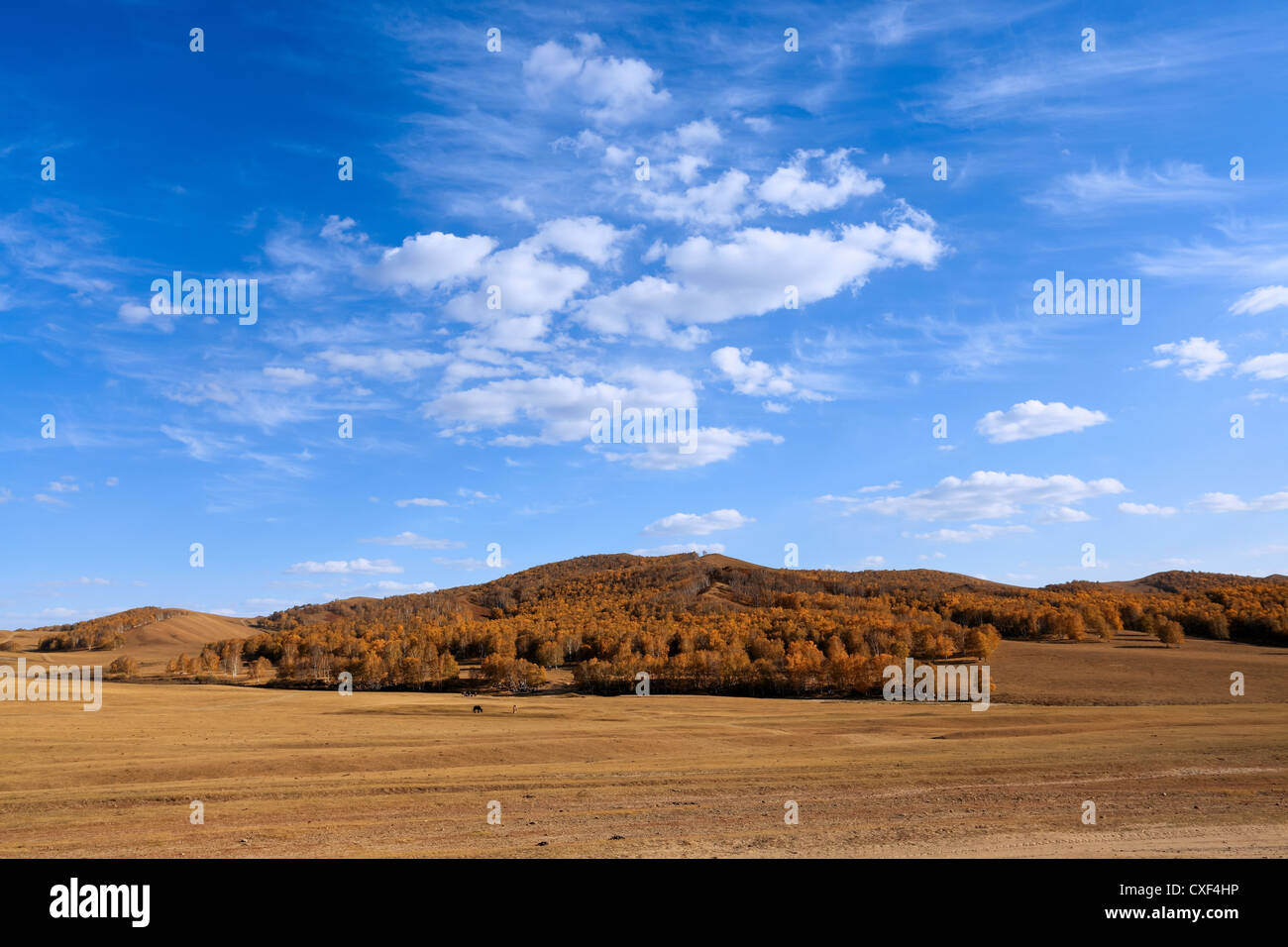 Prairie and horse scenery hi-res stock photography and images - Alamy