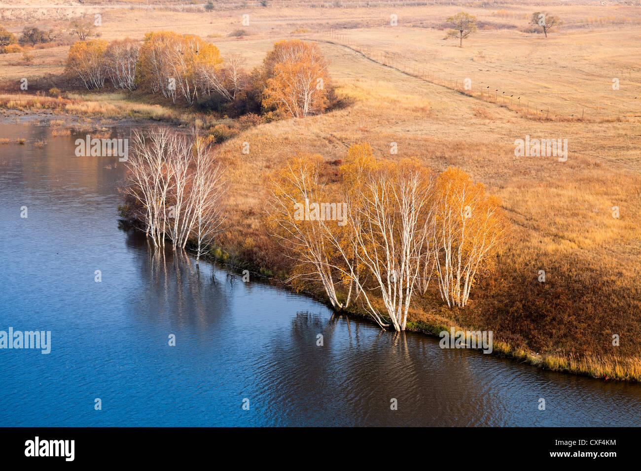 Waterside grass hi-res stock photography and images - Alamy