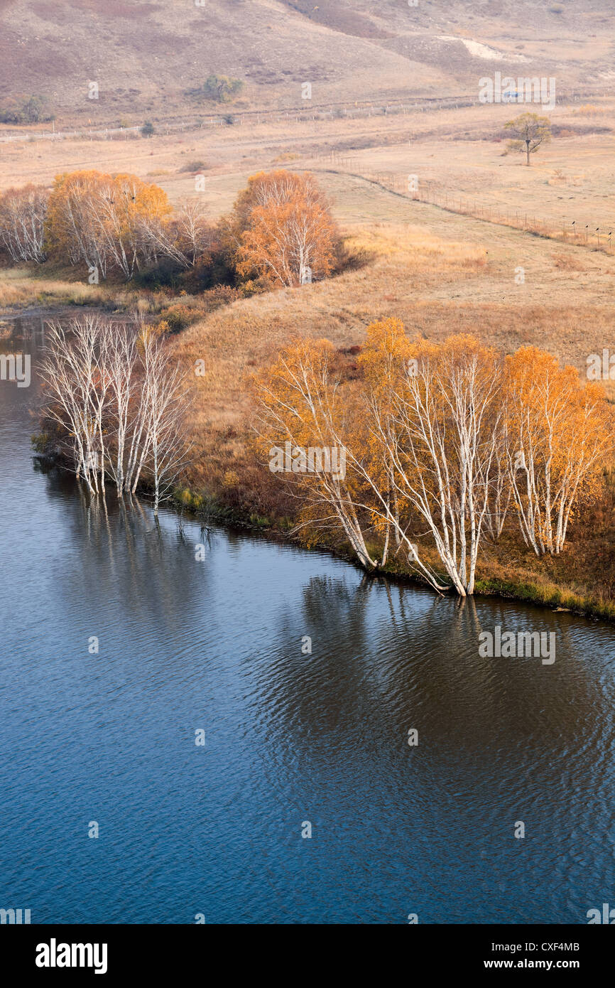 Waterside grass hi-res stock photography and images - Alamy