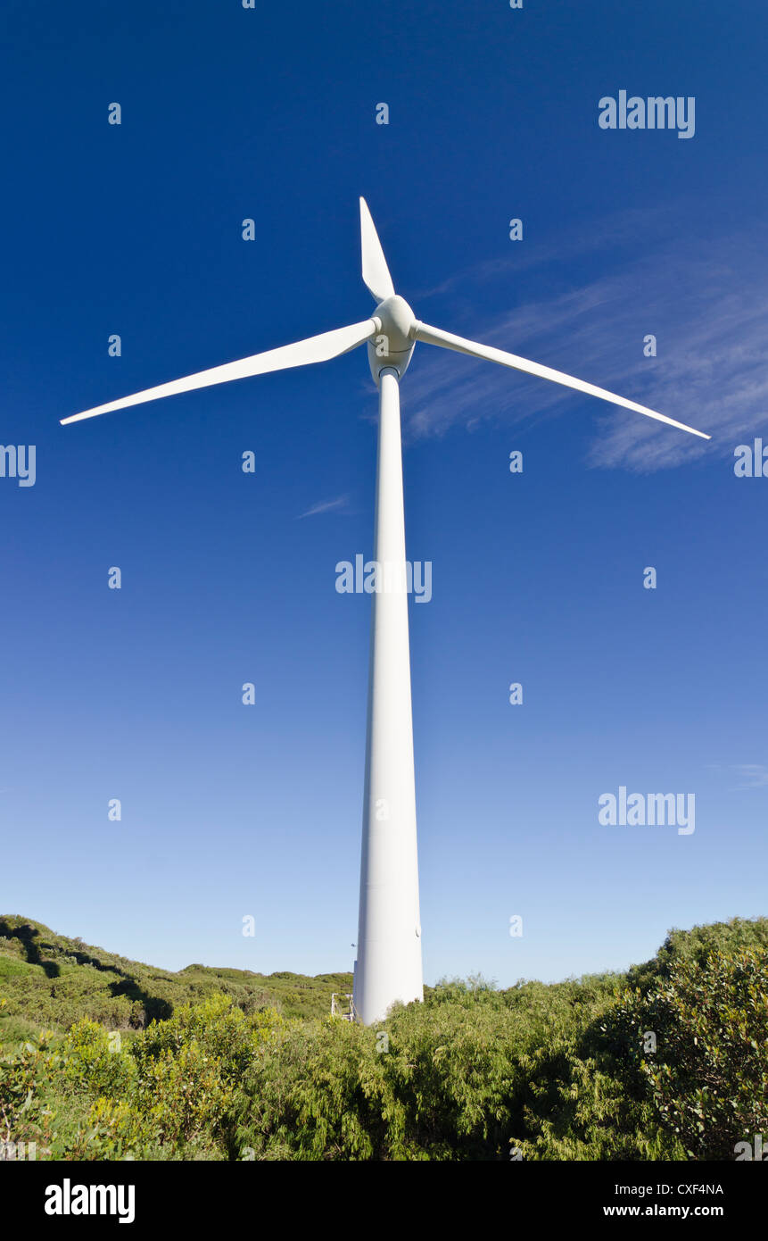 Australian windmill hi-res stock photography and images - Alamy