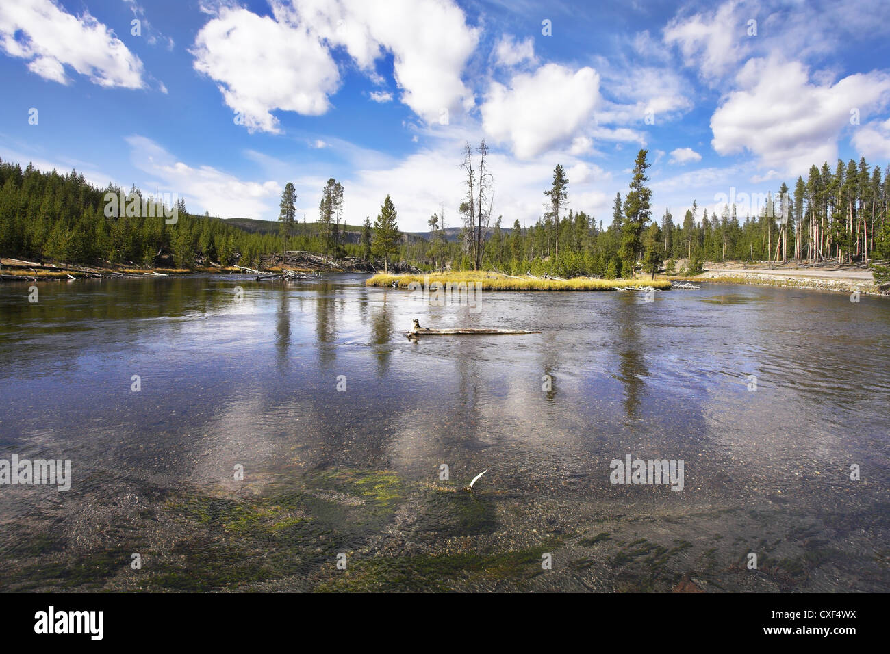 Turn spring hi-res stock photography and images - Alamy