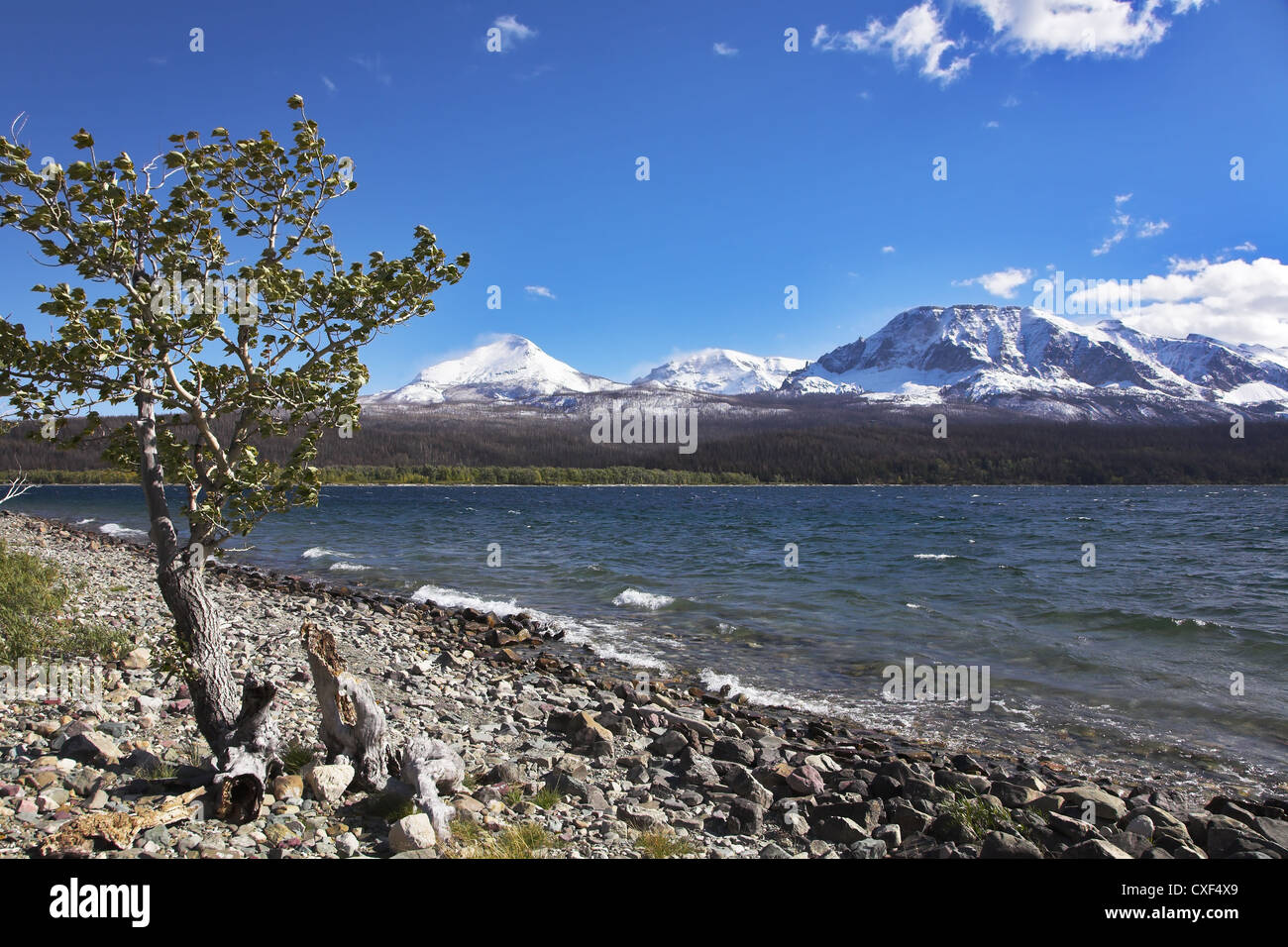 Coast of cold lake Stock Photo - Alamy
