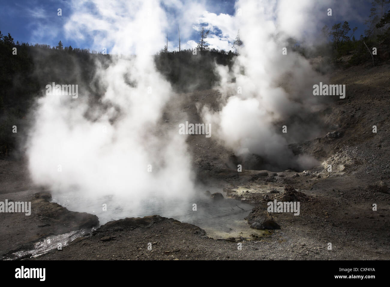 Boiling geyser Stock Photo - Alamy