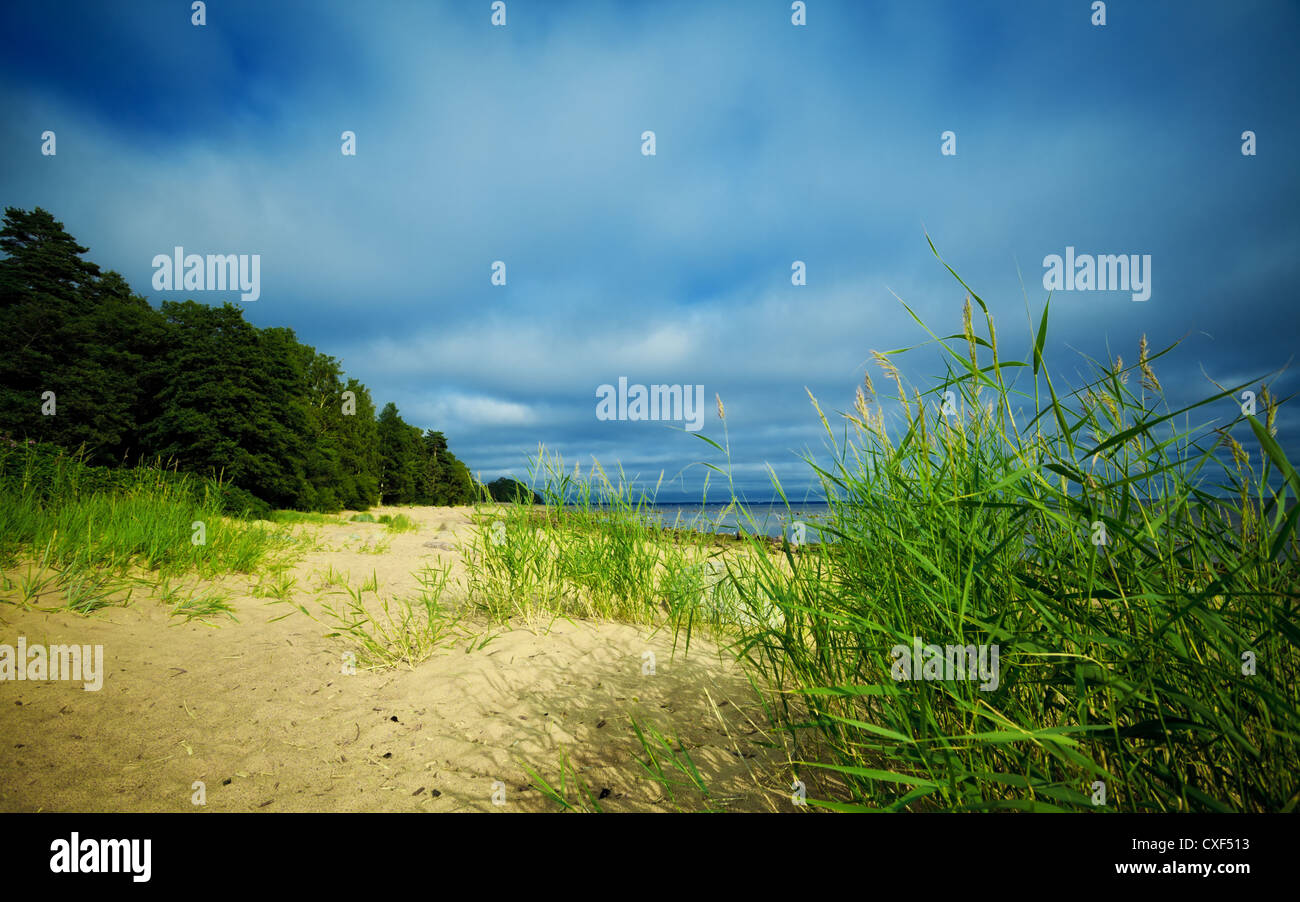 seashore under blue sky Stock Photo - Alamy