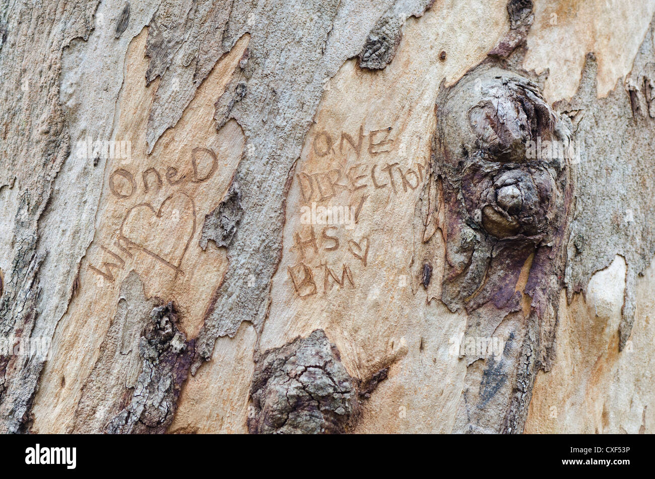 Etched word hi-res stock photography and images - Alamy