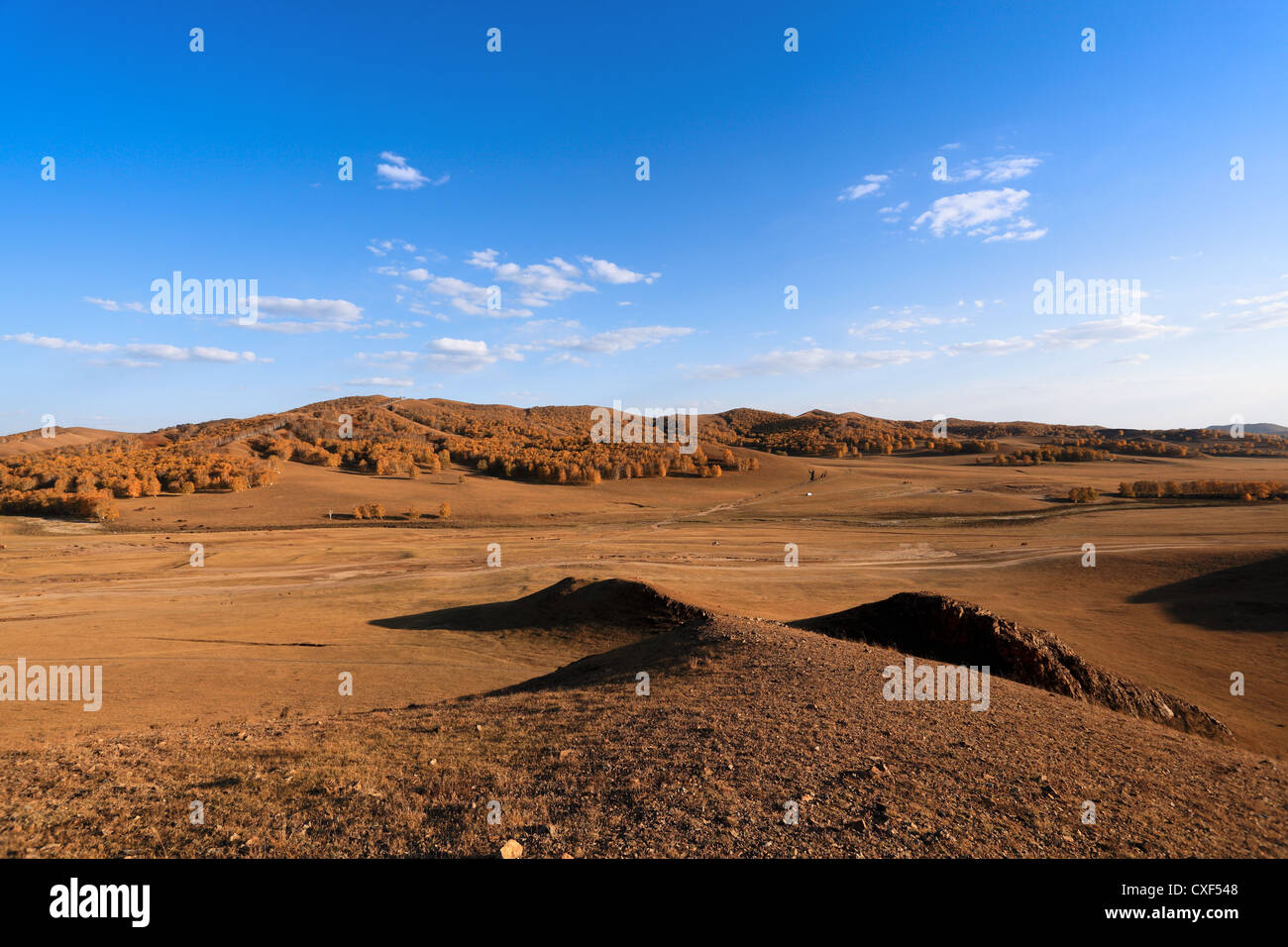 Prairie landscape hi-res stock photography and images - Alamy