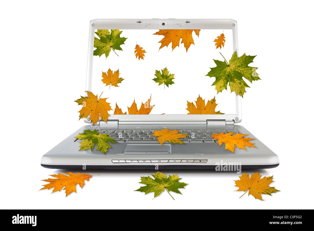 Autumnal leaves falling out of computer. Isolated on white background ...