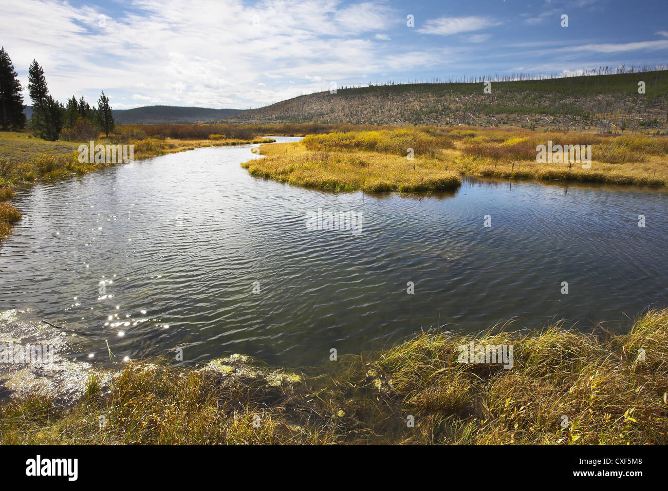 Fenny hi-res stock photography and images - Alamy