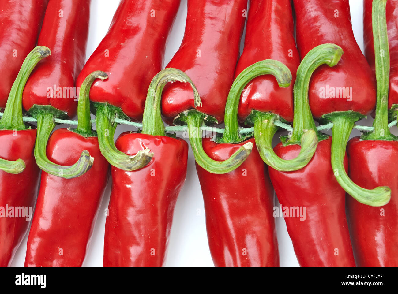 tails green chili peppers on white background aligned Stock Photo - Alamy