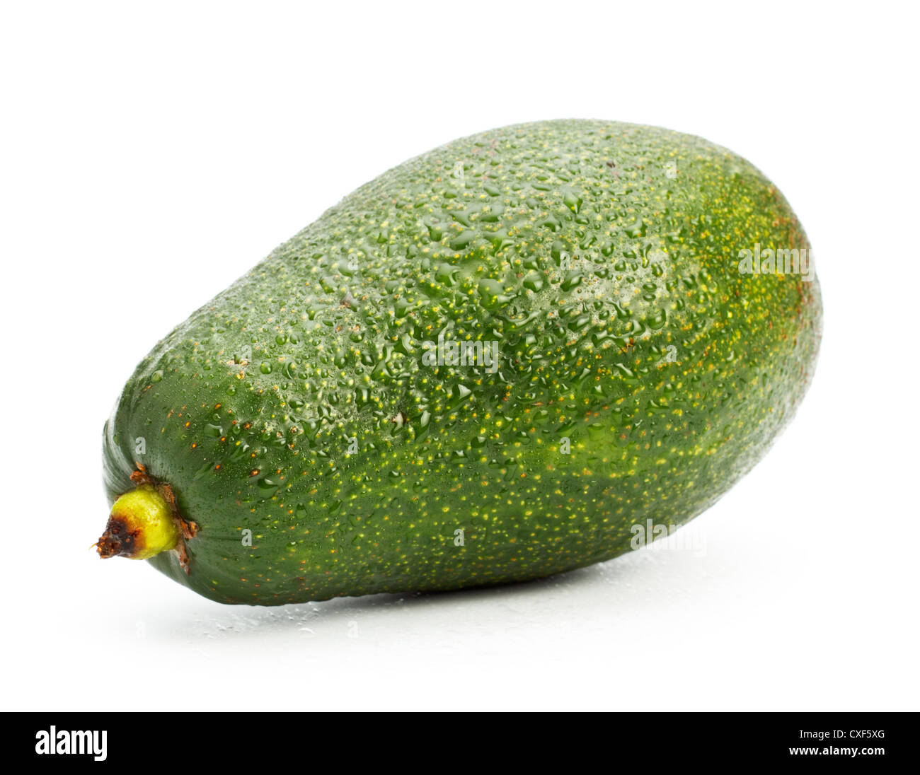Avocado single fruit hi-res stock photography and images - Alamy