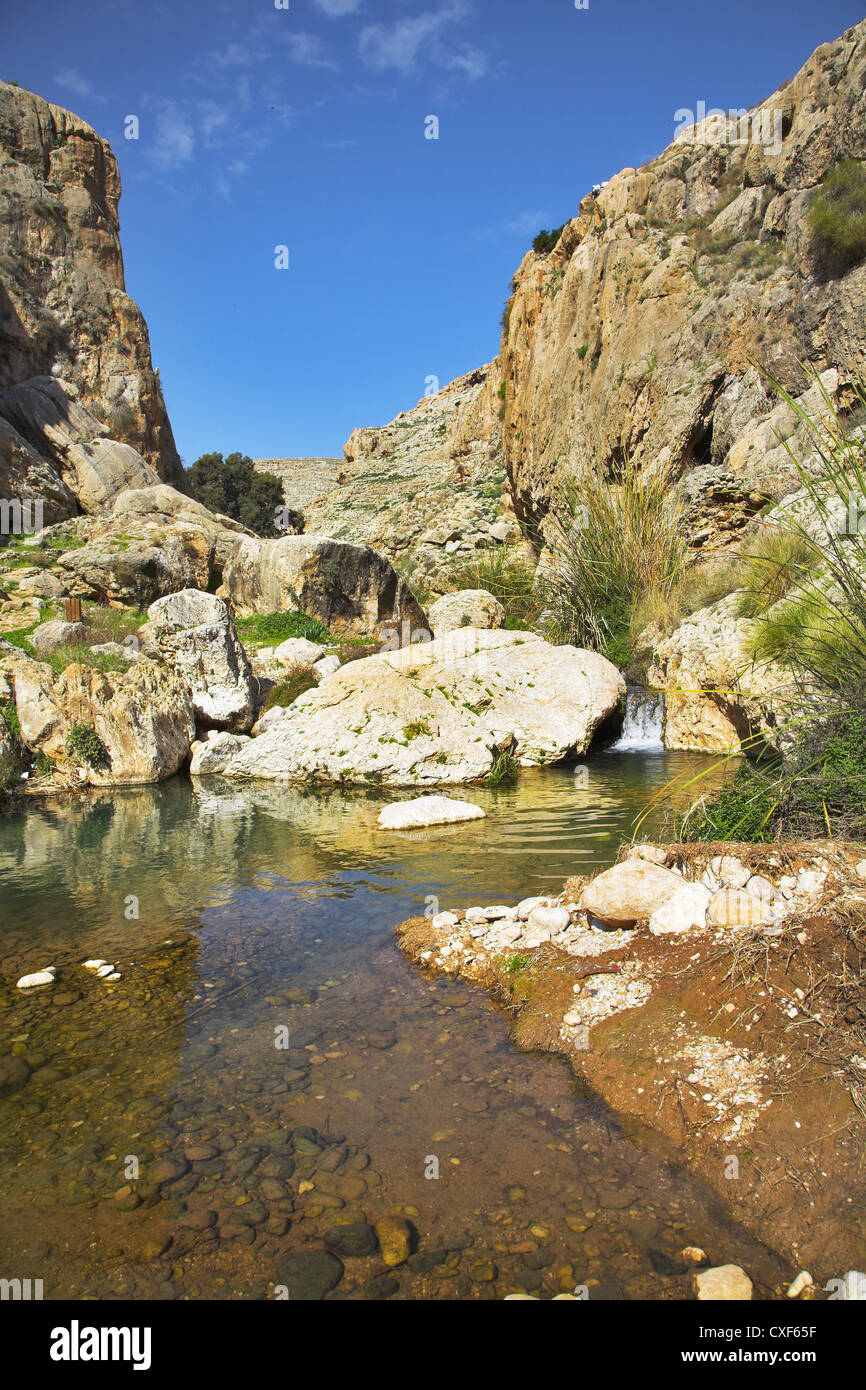 Shallow stream hi-res stock photography and images - Alamy