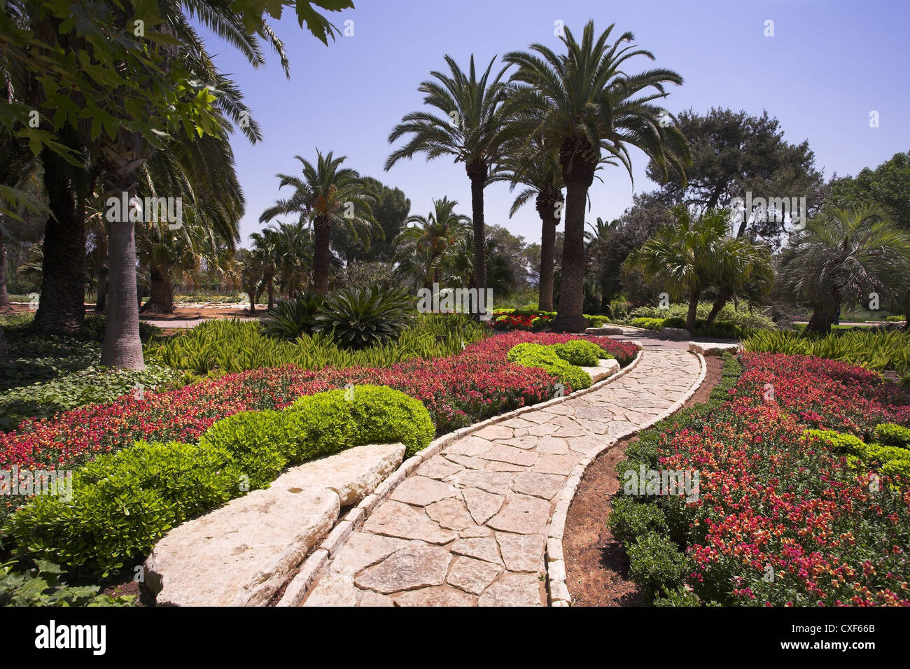 Park in the early spring Stock Photo - Alamy