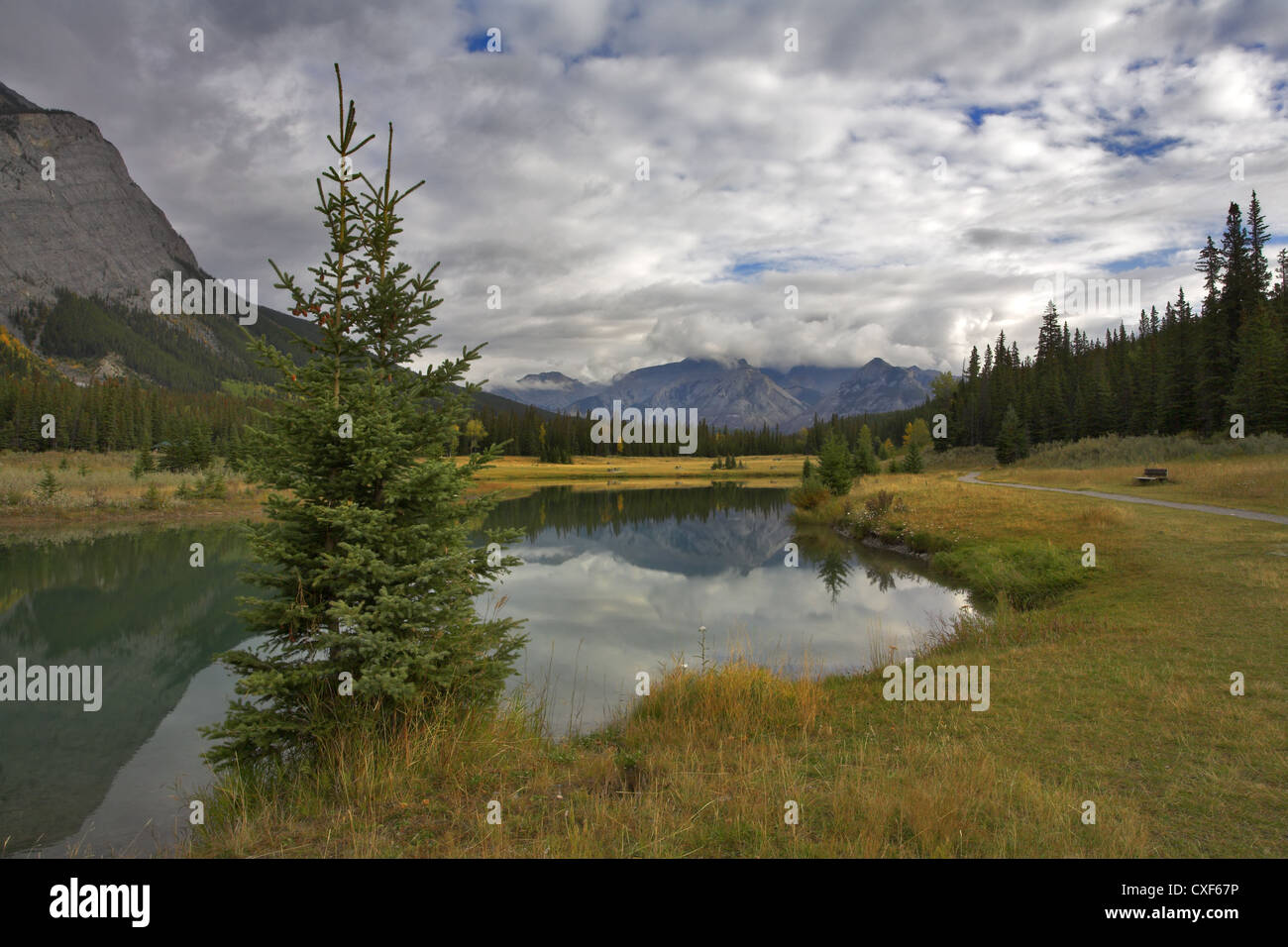 Day nature cool hi-res stock photography and images - Alamy