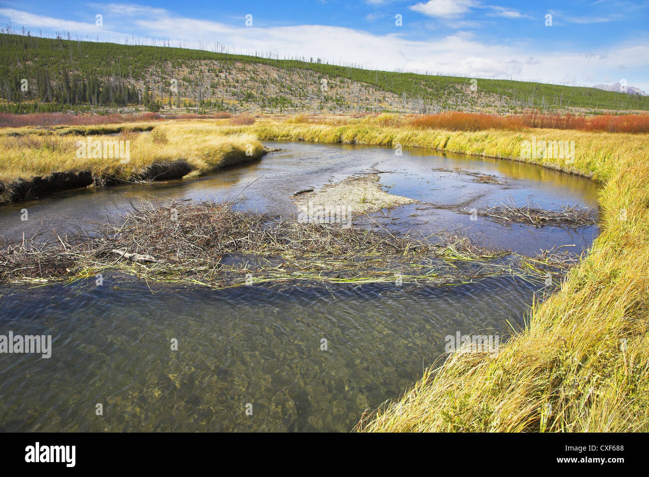 Stream on marshy plain Stock Photo - Alamy