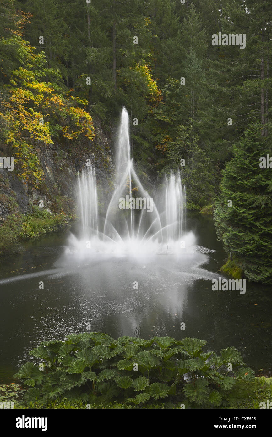 Sparkling jets of a fountain Stock Photo - Alamy