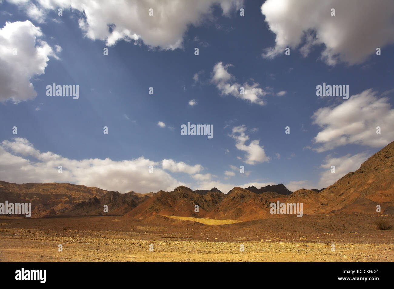God of desert hi-res stock photography and images - Alamy