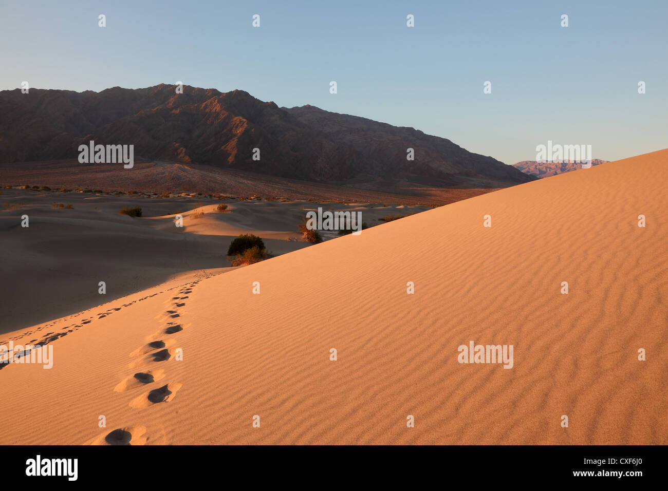 The marks on crumbling sand Stock Photo - Alamy
