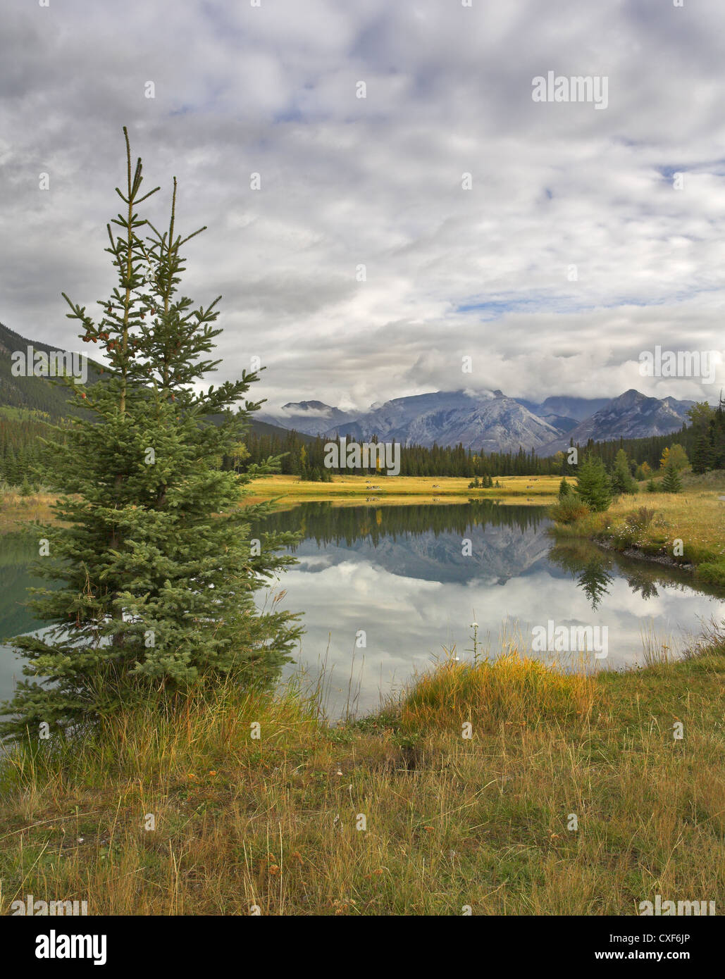 Cloudy morning scene hi-res stock photography and images - Alamy