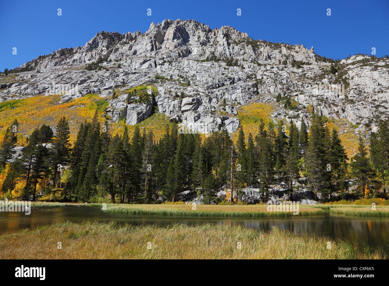 The colors of autumn Stock Photo - Alamy