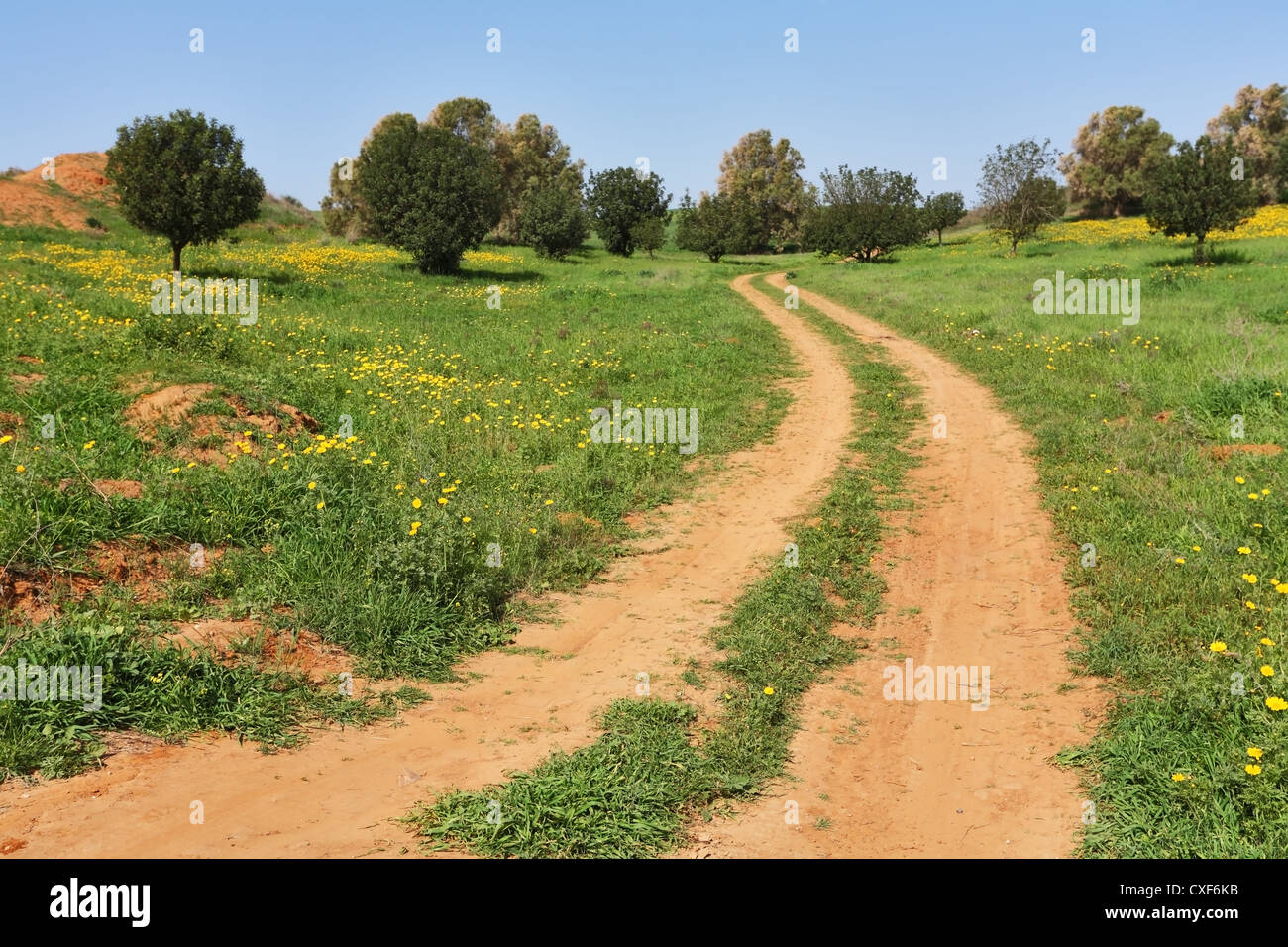 Empty road and fields hi-res stock photography and images - Alamy