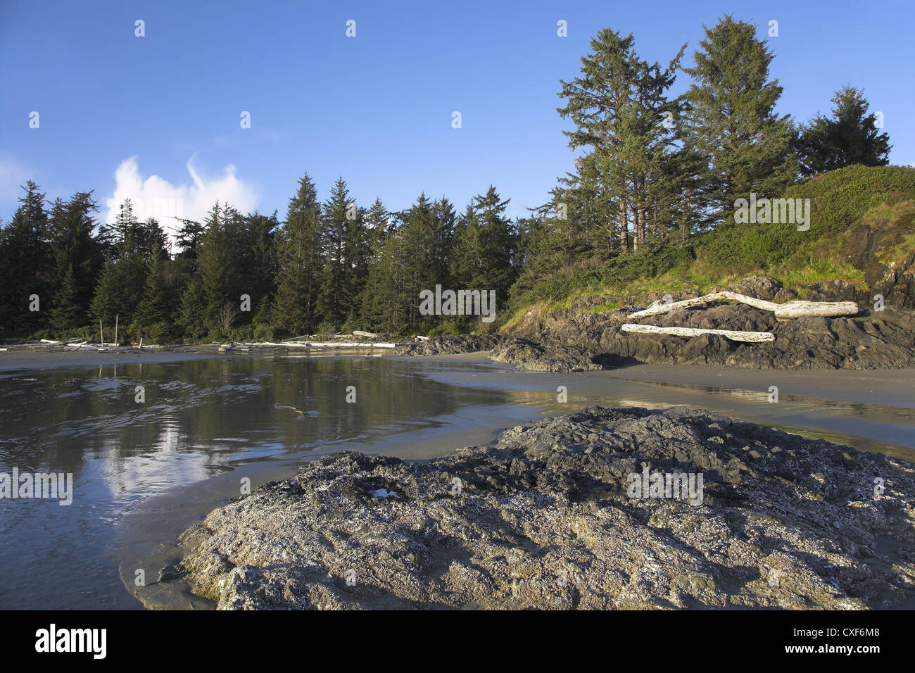 Inflow hi-res stock photography and images - Alamy