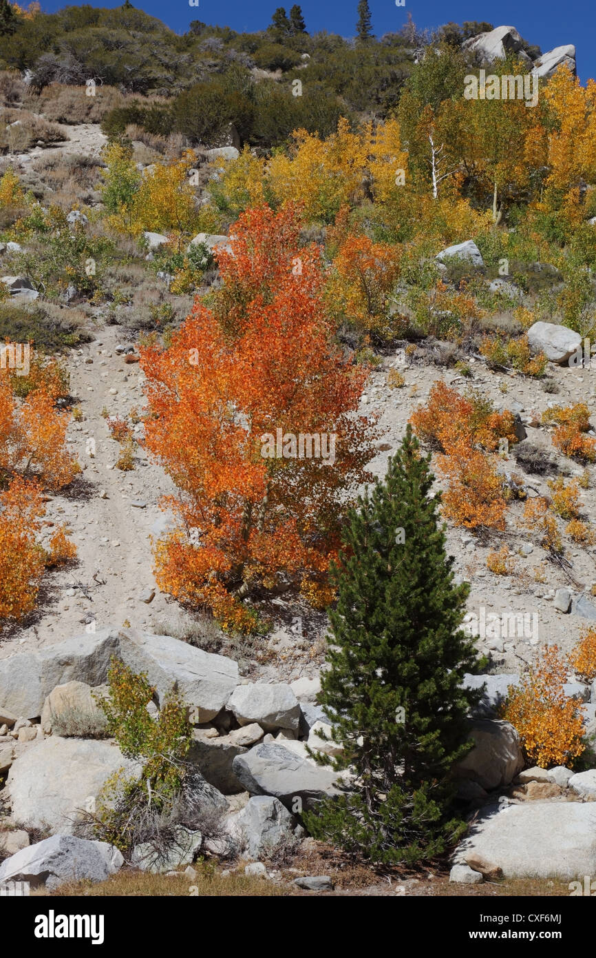 The magnificent mountain landscape Stock Photo - Alamy