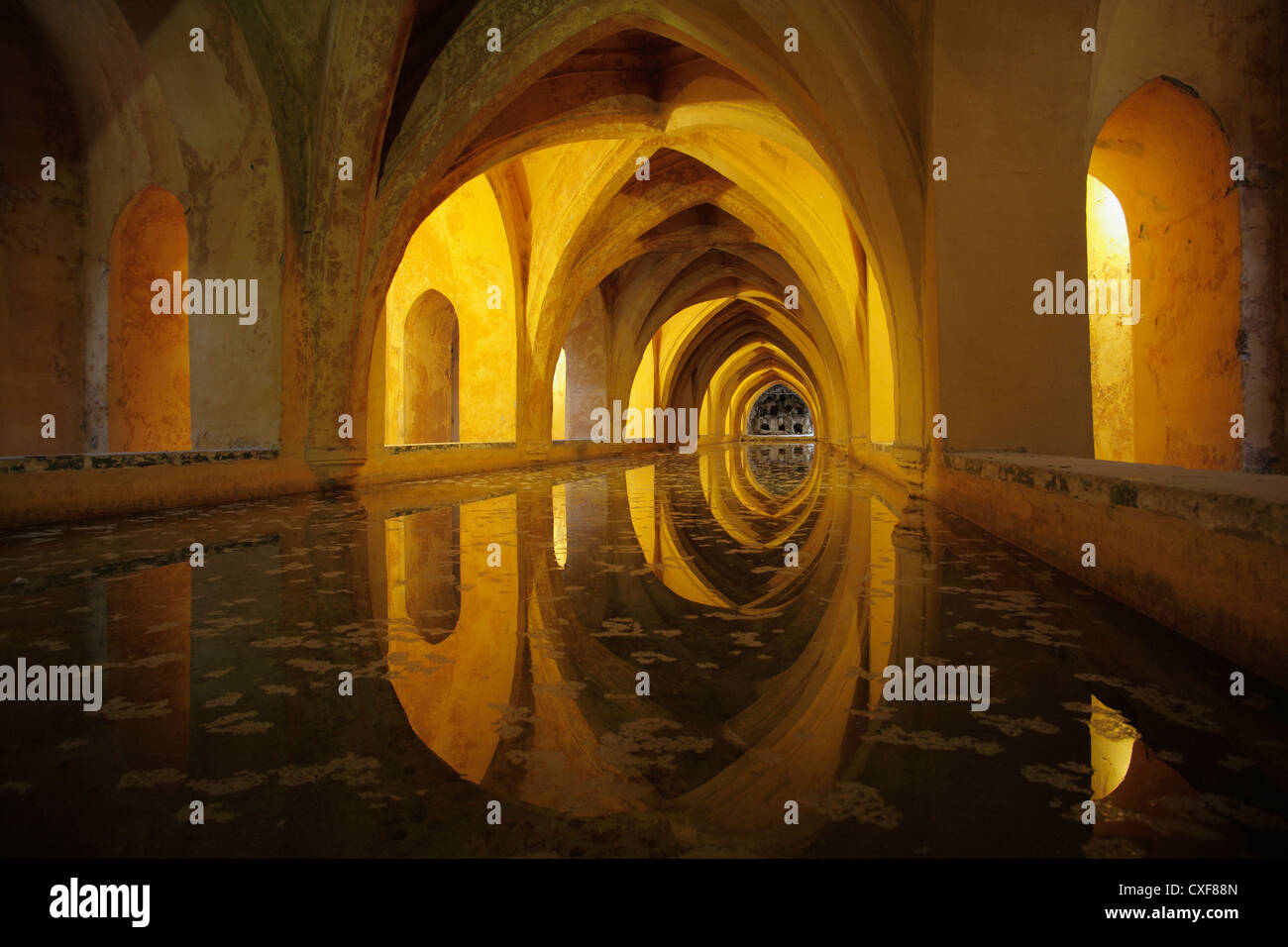 The Royal Baths of the Alcazar Seville Baths of Dona Maria de Padilla ...