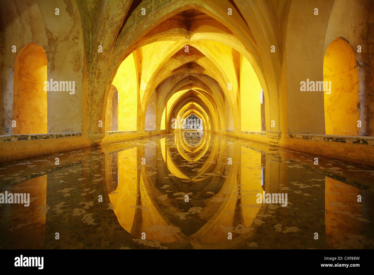 The Royal Baths of the Alcazar Seville Baths of Dona Maria de Padilla ...