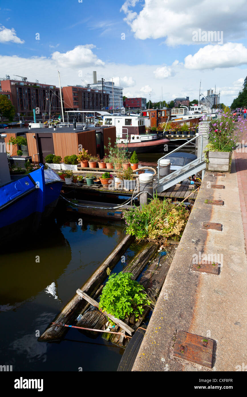 Hosue house hi-res stock photography and images - Alamy