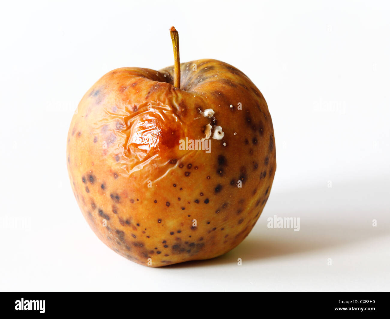 spoiled one bad red apple on white background Stock Photo - Alamy