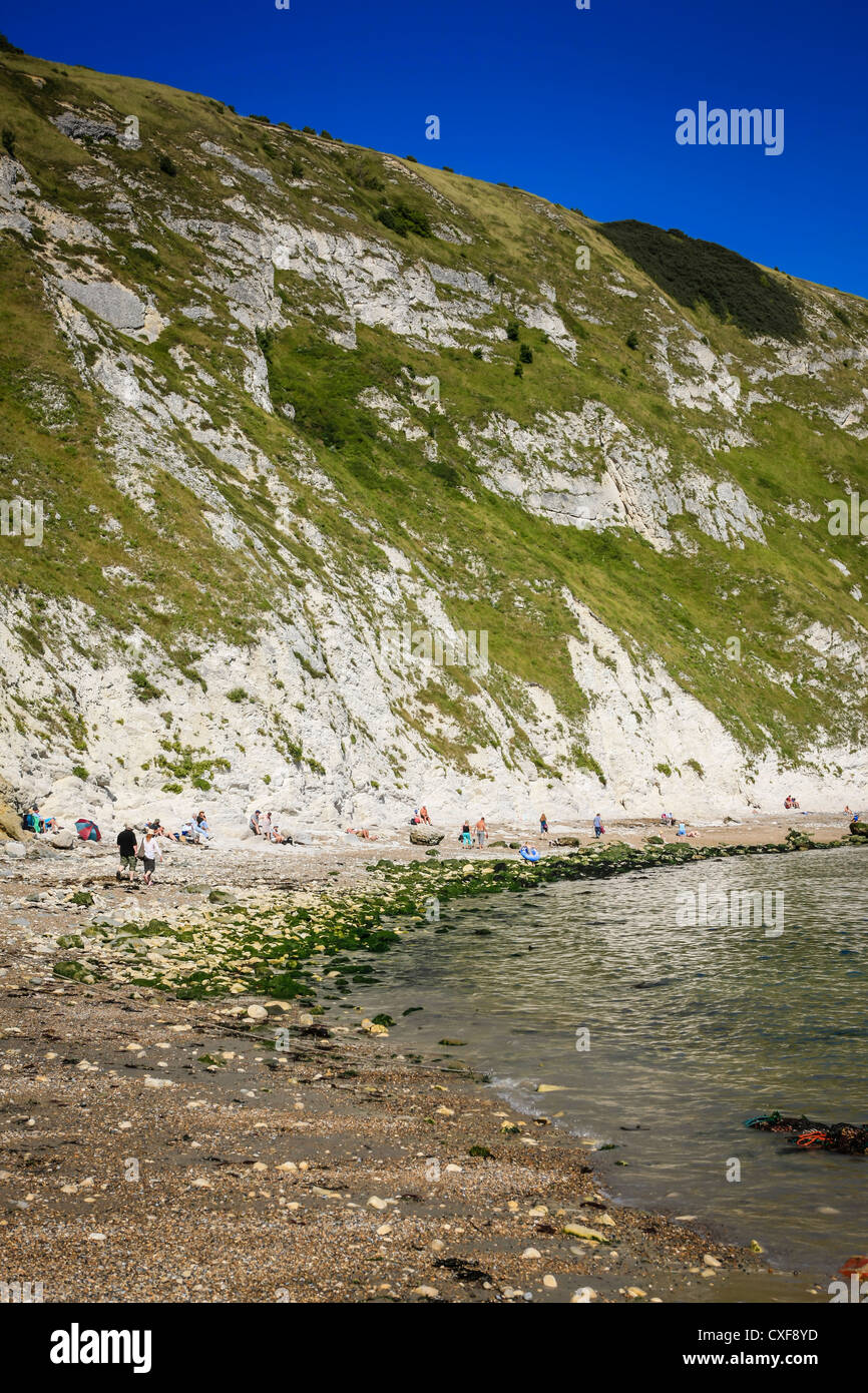 The chalk cliffs at Lulworth Cove Dorset Stock Photo - Alamy