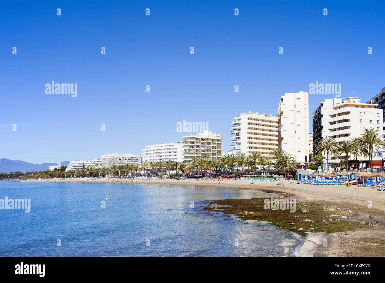 Beach and apartment buildings in resort town of Marbella on Costa del ...