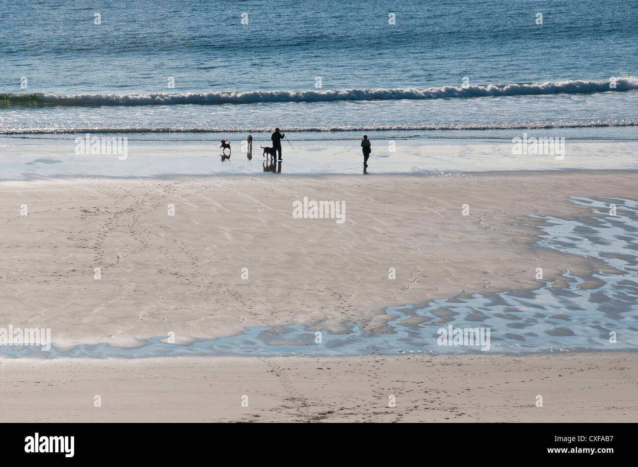 A couple walking their three dogs on the beach in Sutherland Scotland ...