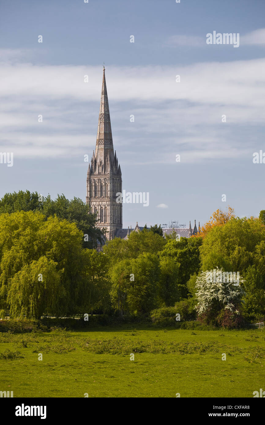 Salisbury town path hi-res stock photography and images - Alamy