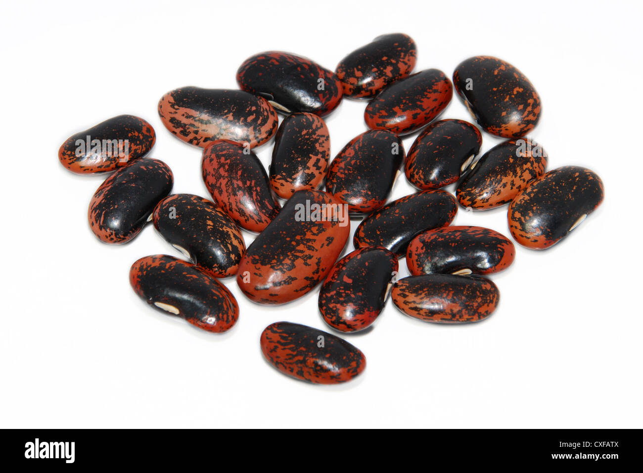 Runner bean seeds, isolated on a white background Stock Photo - Alamy